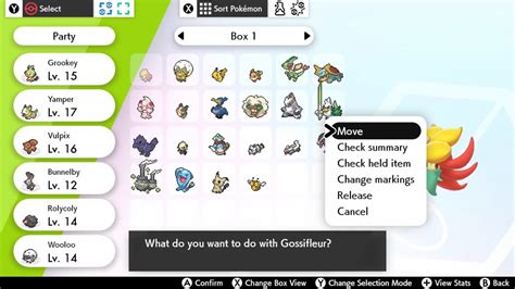 New Pokemon Sword And Shield Items Enhance Training Techraptor
