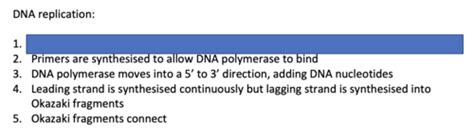 Dna Replication Transcription Translation And Enzymes Flashcards Quizlet