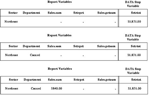 The Report Procedure How Proc Report Builds A Report