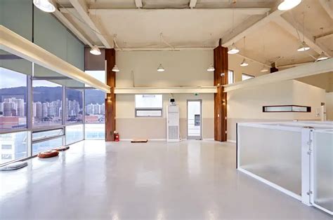 화이트톤 깔끔한 50평 반려견 유치원 인테리어 남양주 호평동