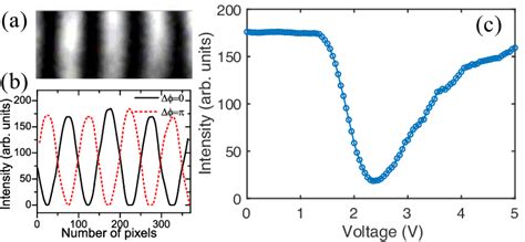 A Interference Fringe Pattern Of Pulses A And B B Horizontal