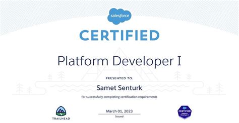 Samet Senturk On Linkedin Certificaat Platform Developer 1 In The Pocket🎉