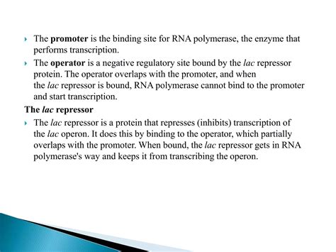 Gene Expression And Regulationpptx