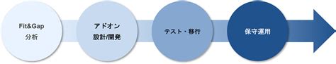 SAP導入支援サービス 株式会社 第一コンピュータリソース