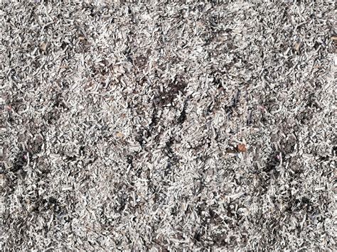 Dry Sea Algae Texture To Download Manytextures