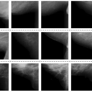 Examples Of Learning And Test Images Classified Into Three Classes