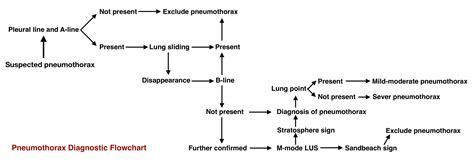 Protocol And Guidelines For Point Of Care Lung Ultrasound In Diagnosing