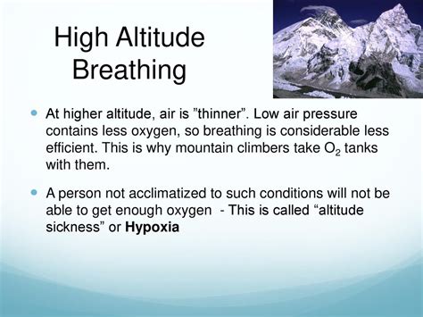 Respiratory Disorders And Conditions Ppt Download