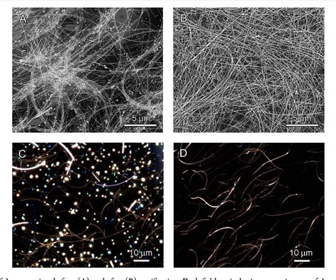 Polyol Biosynthetic Process Semantic Scholar