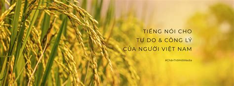 Việt Tân KÊu GỌi CỘng ĐỒng KÝ VÀo KiẾn NghỊ ĐỂ GiỮ LẠi RỪng ThÔng Đak Đoa Link Ký Tên