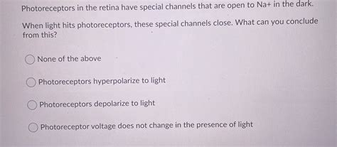 Answered Photoreceptors In The Retina Have… Bartleby