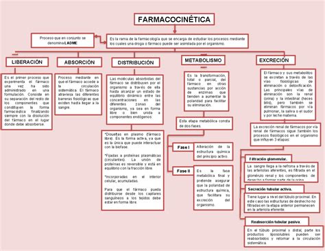 Mapa Conceptual De La Farmacocinetica FarmacocinÉtica Es La Rama De