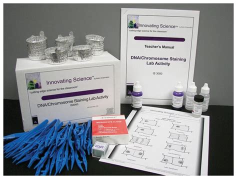 Innovating Science Dnachromosome Staining Kit Dnachromosome Staining