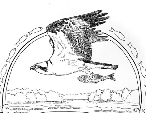 Benton Alewife Festival Benton Me