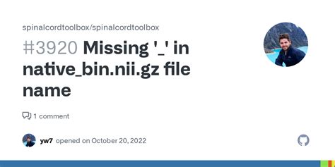 Missing In Nativebinniigz File Name · Issue 3920