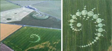 Tru Paranormal The Julia Set Crop Circle Appeared Across
