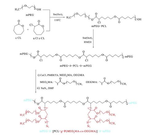 Synthesis Scheme Of Peg B [pcl G P Meo2ma Co Oegma ] B Peg Tbg2 Download Scientific Diagram