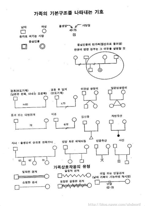 가계도 생태도 네이버 블로그