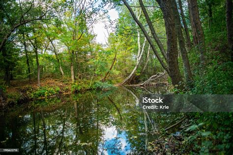 아름다운 템스카 강과 숲으로 둘러싸인 밝은 붉은 색의 돌 0명에 대한 스톡 사진 및 기타 이미지 0명 강 경관 Istock
