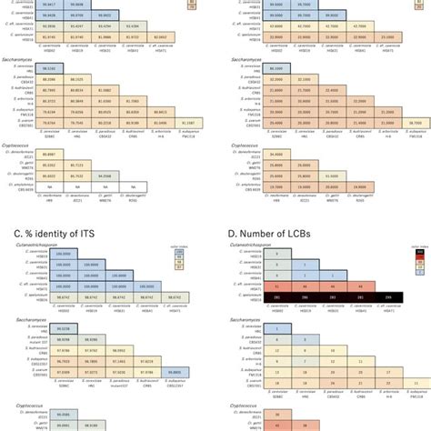 Plots Of Chromosome Synteny Based On Pairwise Blastn Alignment Among Download Scientific