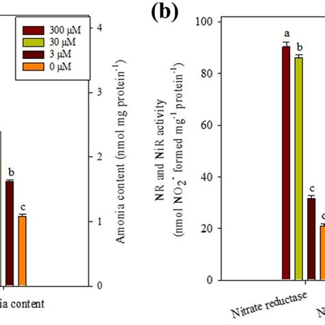 A Nitrogen Containing Components B Activities Of Nitrate Reductase