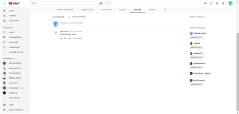 Youtube Video Auto Commenter Plugin For Wordpress By Coderevolution