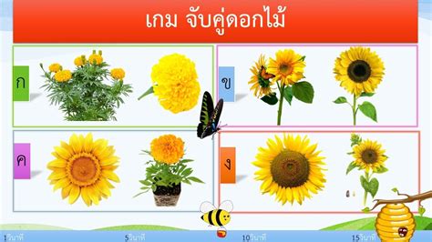 เกม จับคู่ดอกไม้ 10 ข้อ Youtube