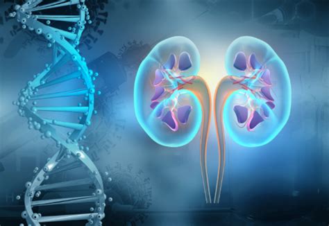 Uc Davis Health Launches Cell Therapy Trial For Ckd Mirage News