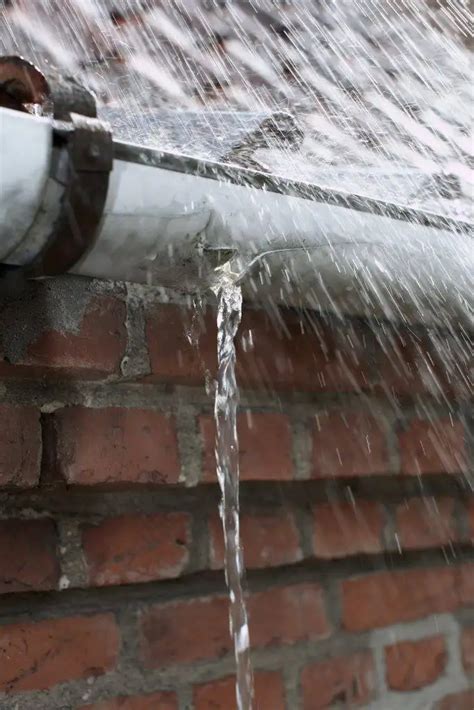 How To Find A Roof Leak In 4 Steps Modern Group Blog