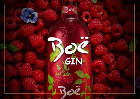 Boë Gin Y Su Gama De Ginebra De Sabores Dan Color A Tu Copa