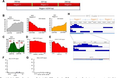 Figure 4 From Evaluation Of Potential Role Of R Loop And G Quadruplex Dna In The Fragility Of C