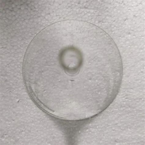 Borosilicate Glass Long Stem Funnel Capacity 100ml 50mm At ₹ 69 In