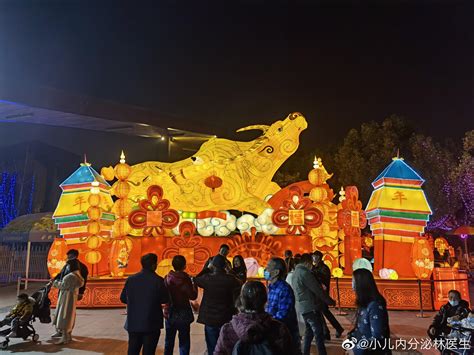 园博园里的年味十足花灯也是一年比一年好看