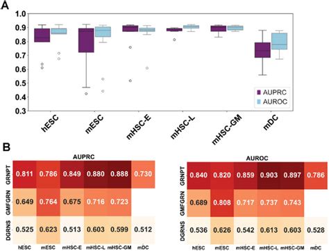 Integrating Prior Knowledge Using Transformer For Gene Regulatory Network Inference Pmc