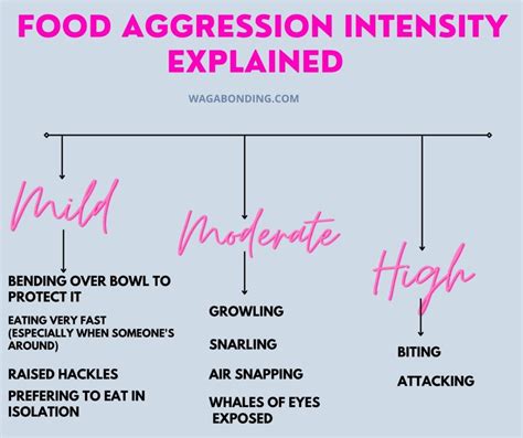 10 Steps To Deal With Food Aggression In Dogs A Dog Trainers Pov