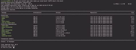 How To Install Python 313 On Rhel 10 Almalinux 10 Cloudspinx