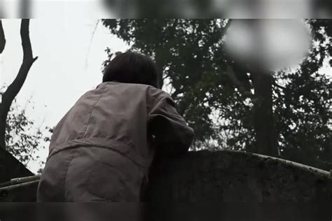 全身粉红就能爆红围观粉红色熊猫宝宝胖大海的成长记 熊猫宝宝 胖大海 粉红色