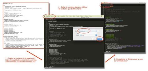 Int Grer Des Animations Dans Wordpress Avec Animate Css