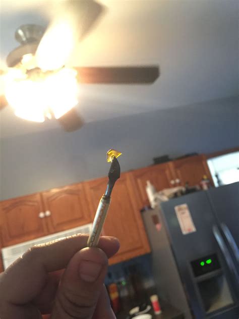 Time To Celebrate My Cake Day Trees