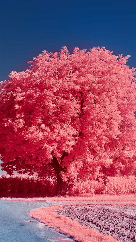 Ios16 效果壁纸 极简壁纸