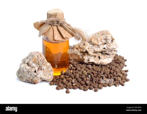 Abelmoschus moschatus or Ambrette Seed with natural Ambergris. Isolated ...