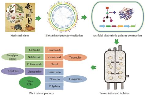 Figure 1 From [advances In Microbial Synthesis Of Plant Natural Products] Semantic Scholar