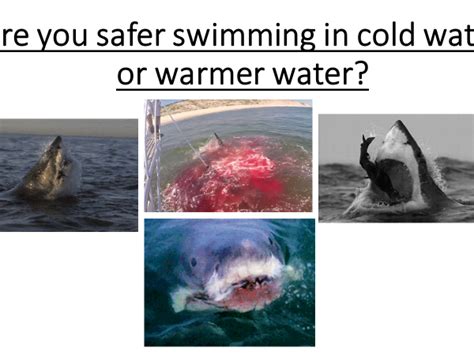 Science Diffusion Experiment Teaching Resources