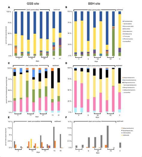 High Throughput Amplicon Sequencing Data For Gsb Saltmarsh And Bbh