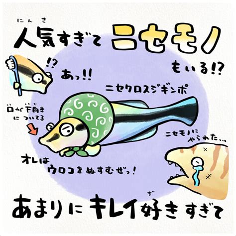 海の掃除屋さんは天才だった 知って得する川田一輝のお魚あれこれ No 142 p1 WEBマガジン HEAT