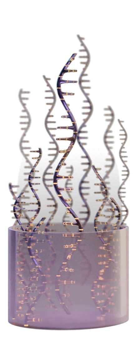 Gxstrands® Single Stranded Dna On Large Scales