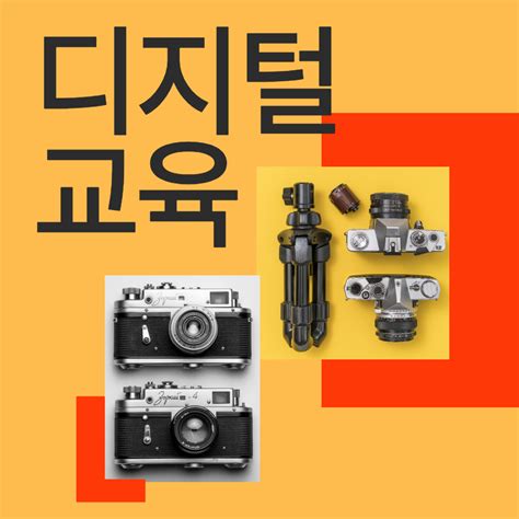 디지털 교육
