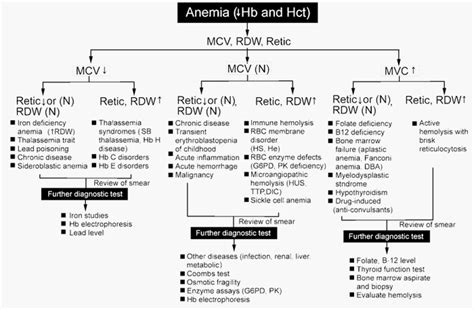 Table 2 From Improved Classification Of Anemias By Mc