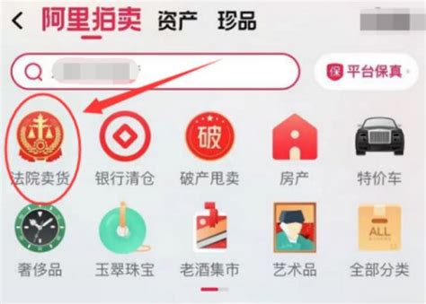法拍车在哪里拍卖 有驾