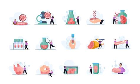 실험실 생산 벡터 삽화의 아이콘이 있는 빈 배경에 격리된 구성의 인공 재배 고기 플랫 세트 무료 벡터